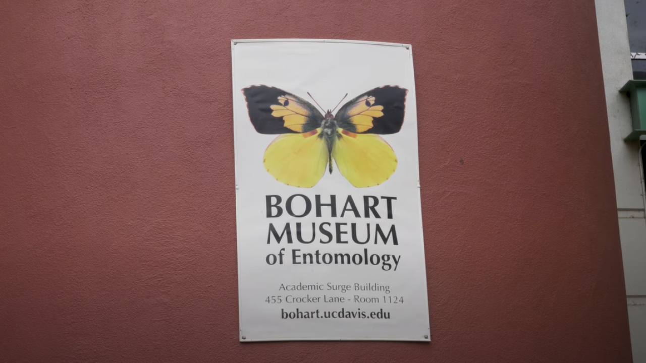 Bohart Museum of Entomology