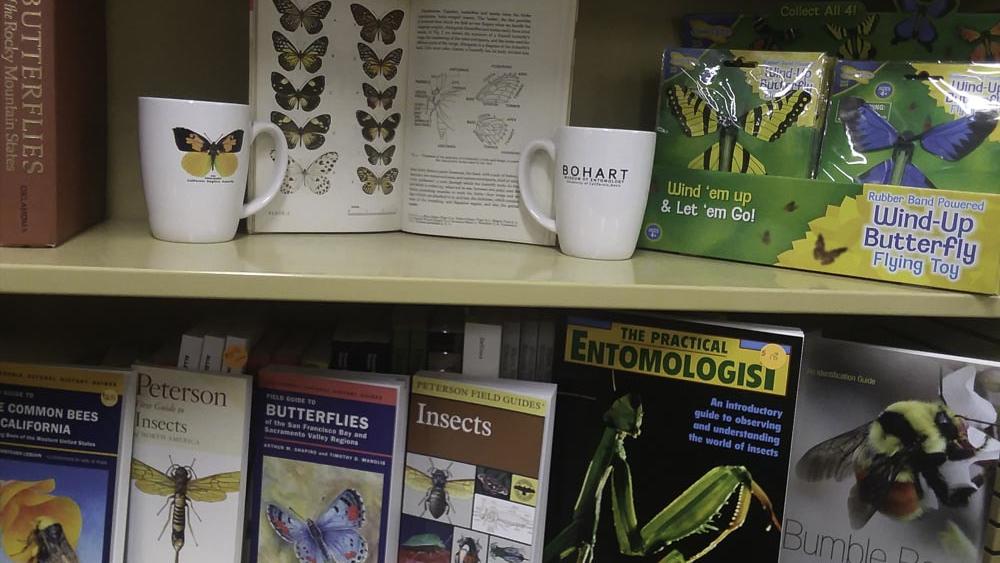 Gift Shop | Bohart Museum of Entomology